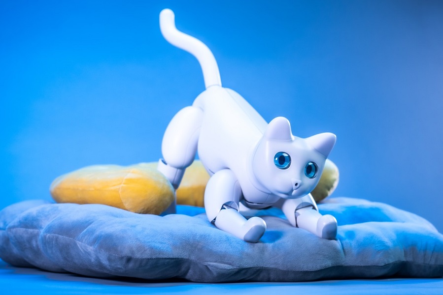 MarsCat jadi robot kucing otonom pertama di dunia