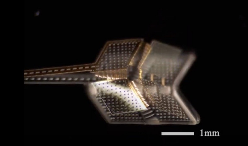 Robot mini ini terinspirasi dari origami